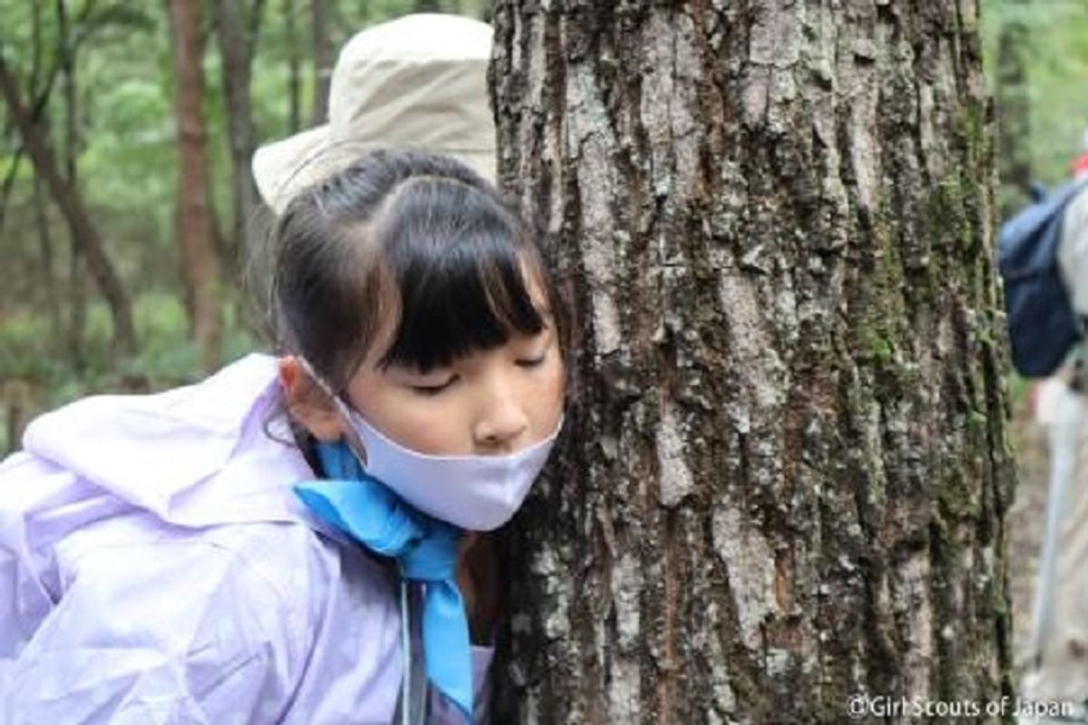 ガールスカウト 茨城県第27団の口コミ・料金・先生の情報をチェック | 子供の習い事の体験申込はコドモブースター